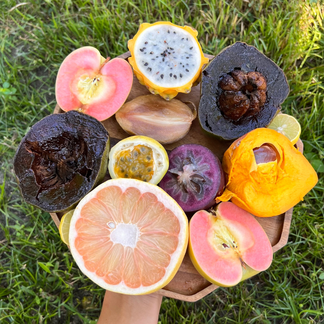 Miami Fruit Ripening Guide