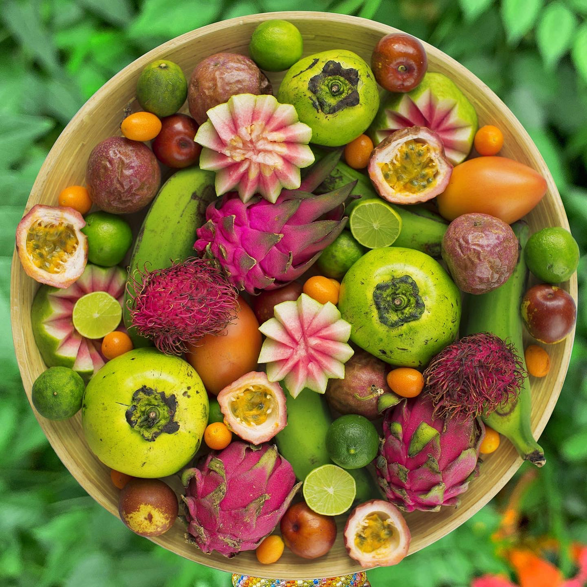 Harvest Update for end of November 🌈 + more! – Miami Fruit