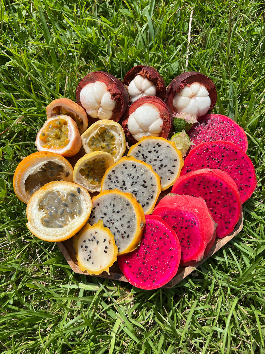 Early August Harvest Update 🌈 – Miami Fruit