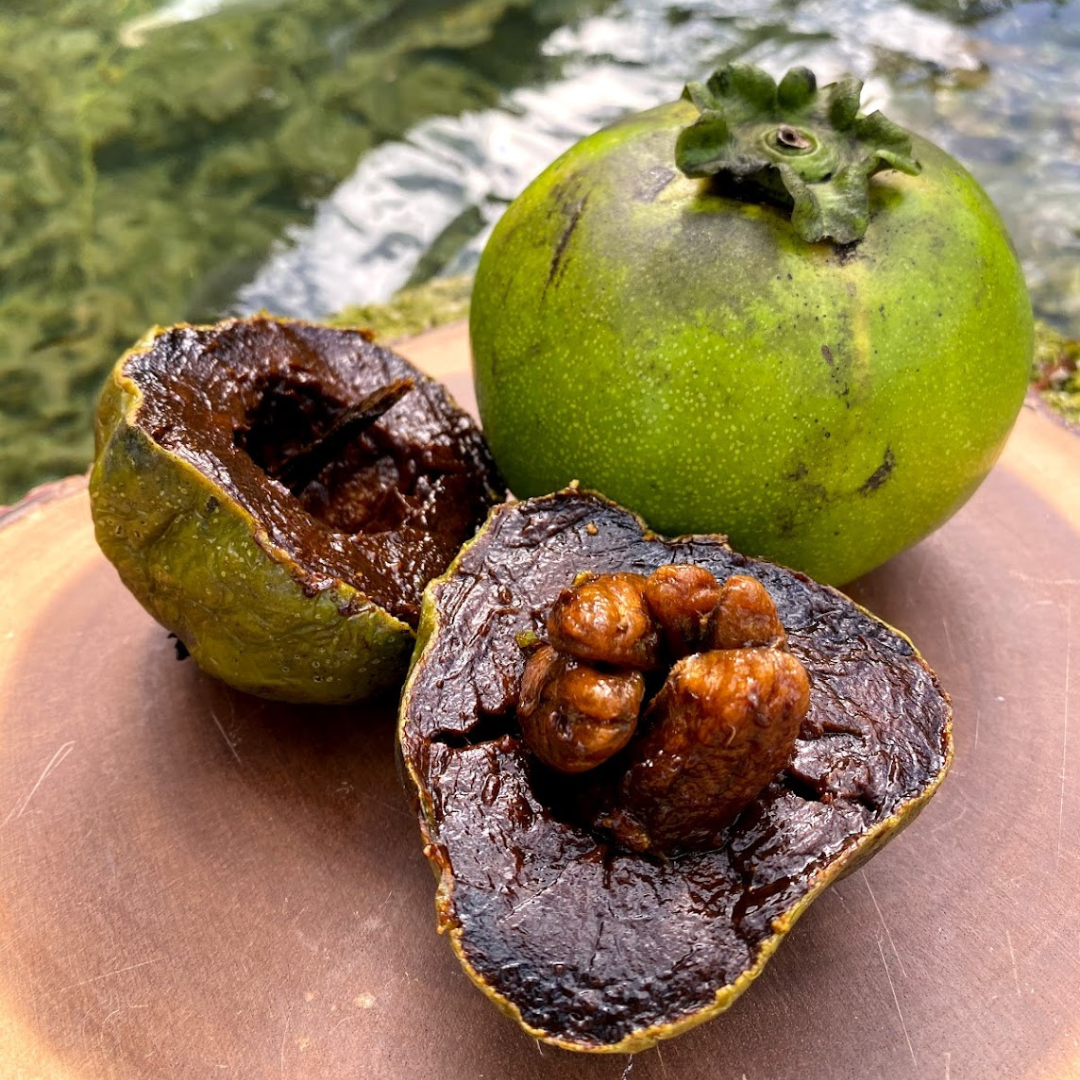 Black Sapote Season is Starting 😍 – Miami Fruit