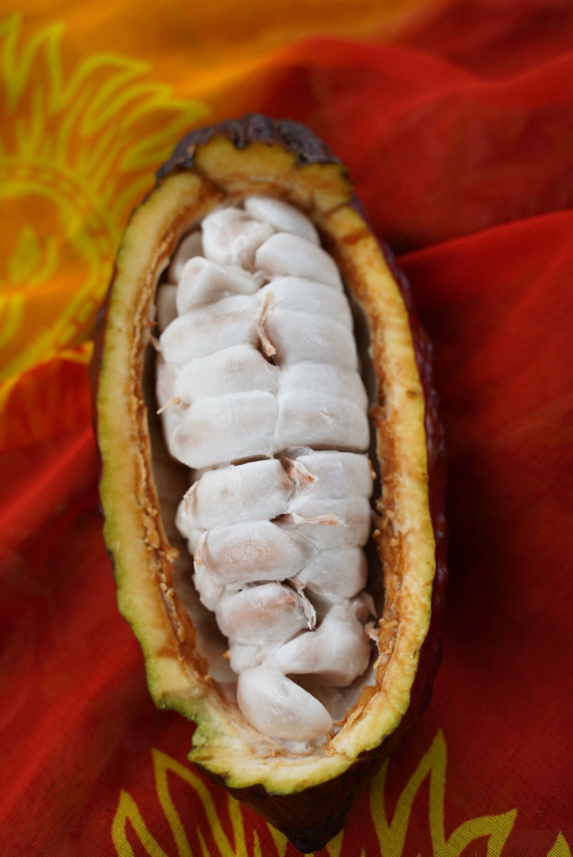 ️ Come buy fruit LOCALLY at the Chocolate Garden ️ – Miami Fruit
