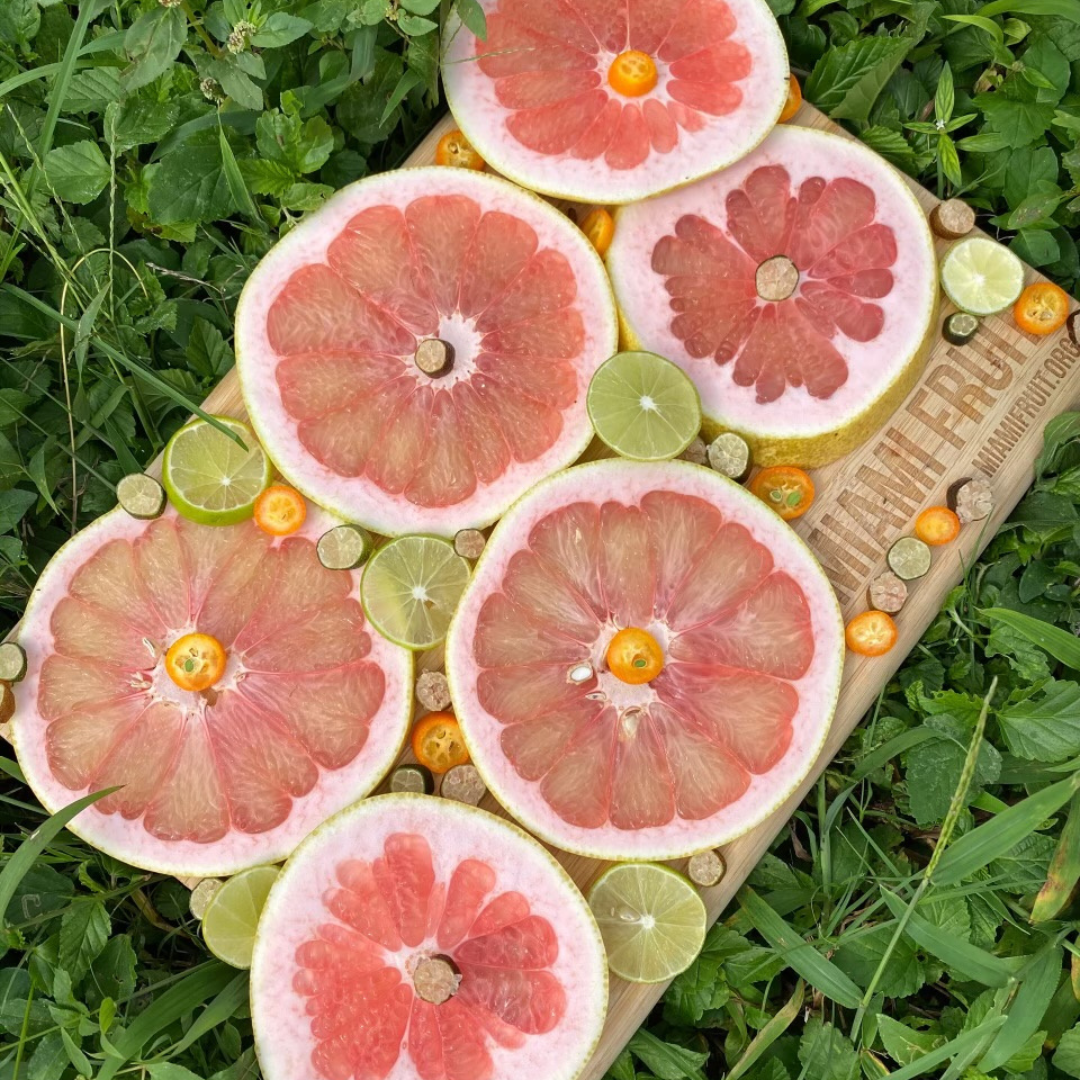 FREE Miracle Berry Cube Packet with Citrus Purchase 🍊🍋 – Miami Fruit