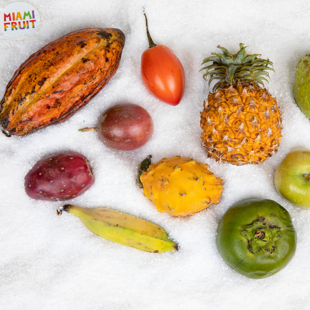 Important Info for Ordering Fruit in Winter ️ – Miami Fruit