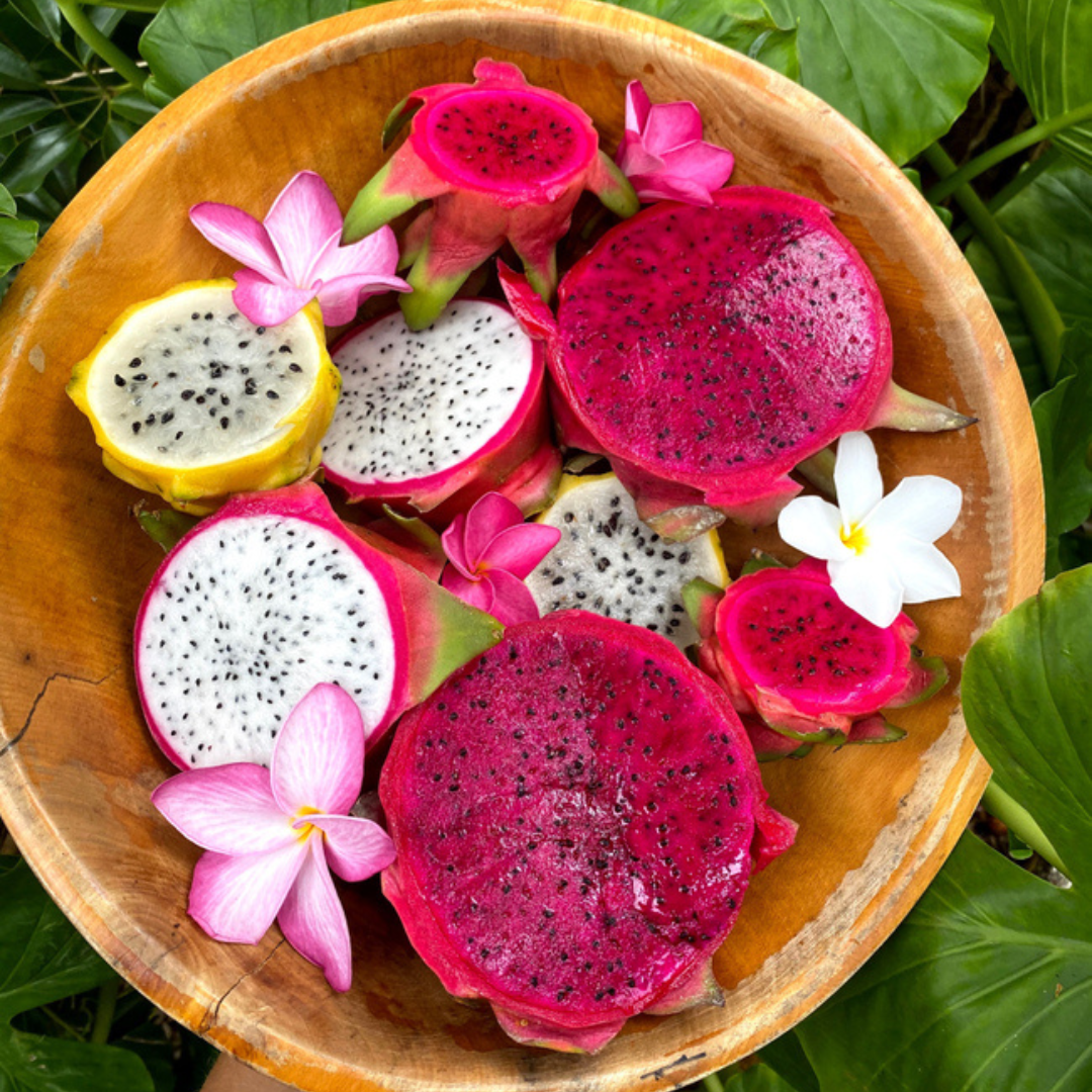 Fruit of the Week: Dragonfruit! 💛🤍🩷 – Miami Fruit