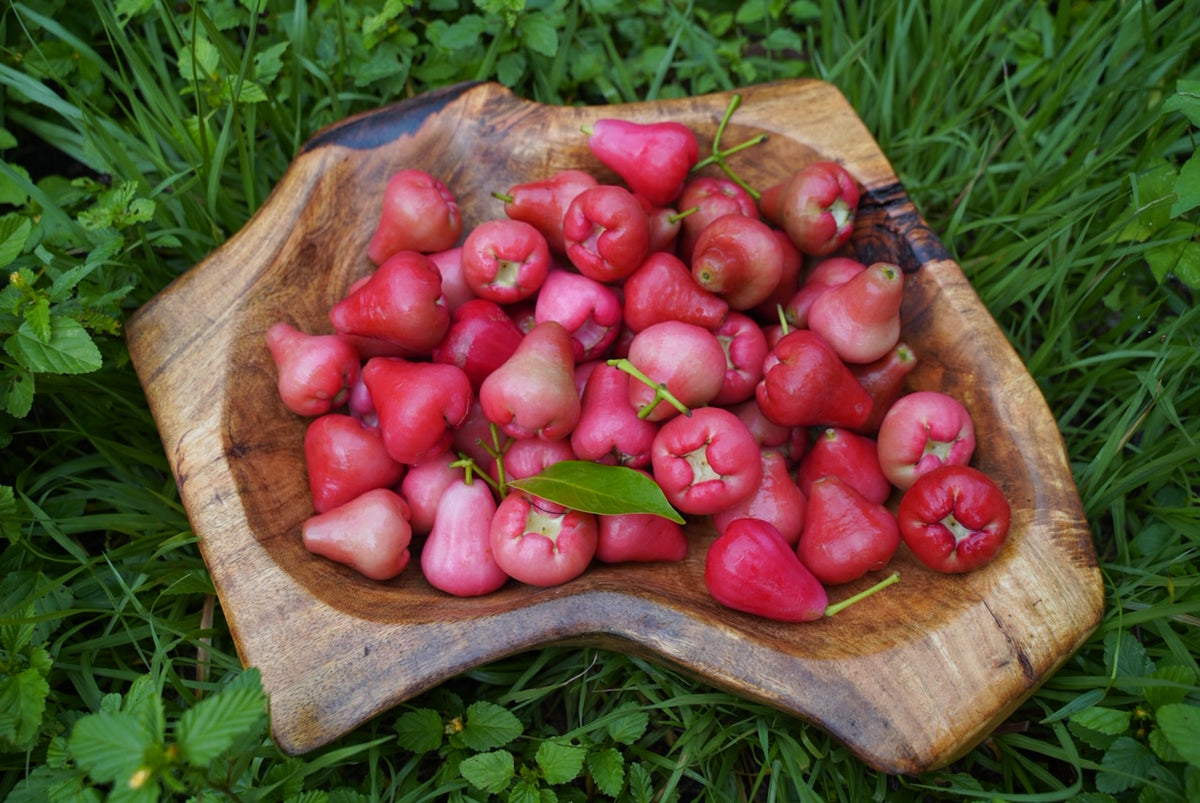 💗 Wax jambu/apple ready to ship! – Miami Fruit