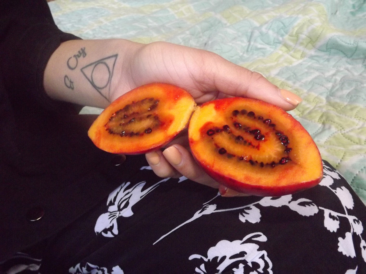 FREE SHIPPING EXTENDED THROUGH APRIL 😱 + What's in season 🌈 – Miami Fruit