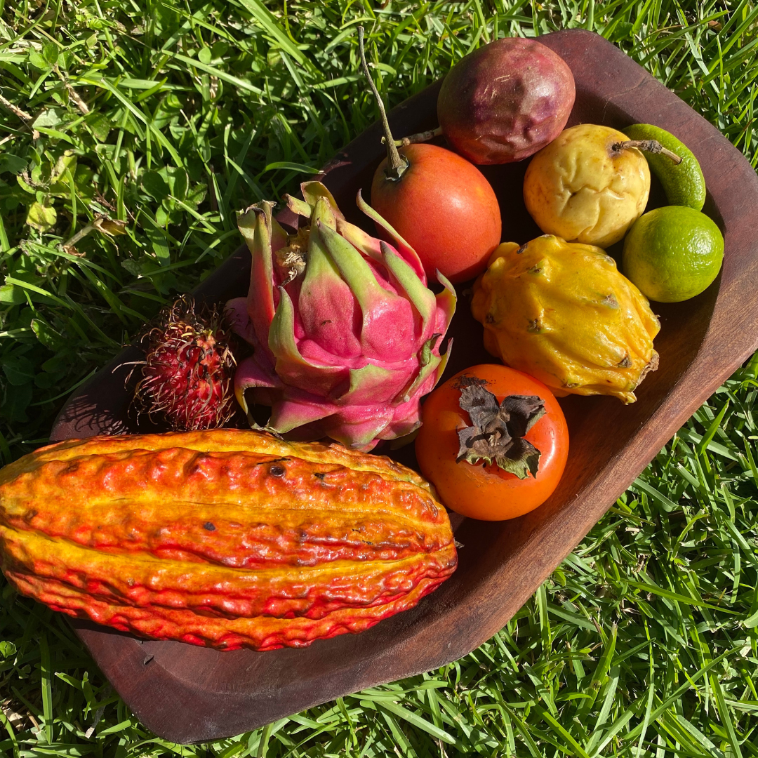 Early October Harvest Update 🌈 – Miami Fruit