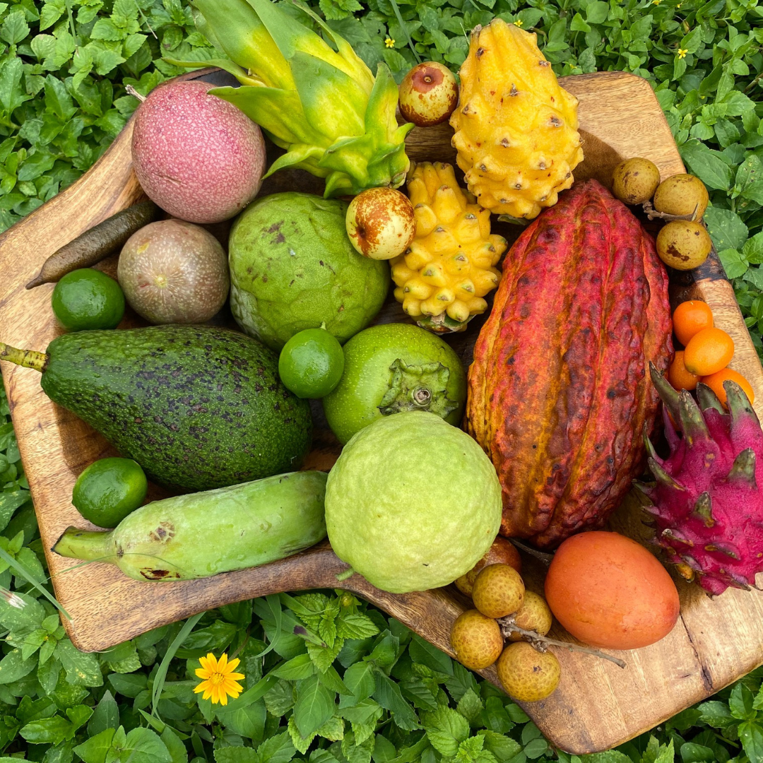 End of November Harvest Update 🌈 – Miami Fruit