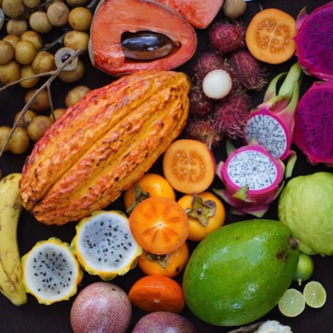 Fall Faves SALE! 🌻 – Miami Fruit