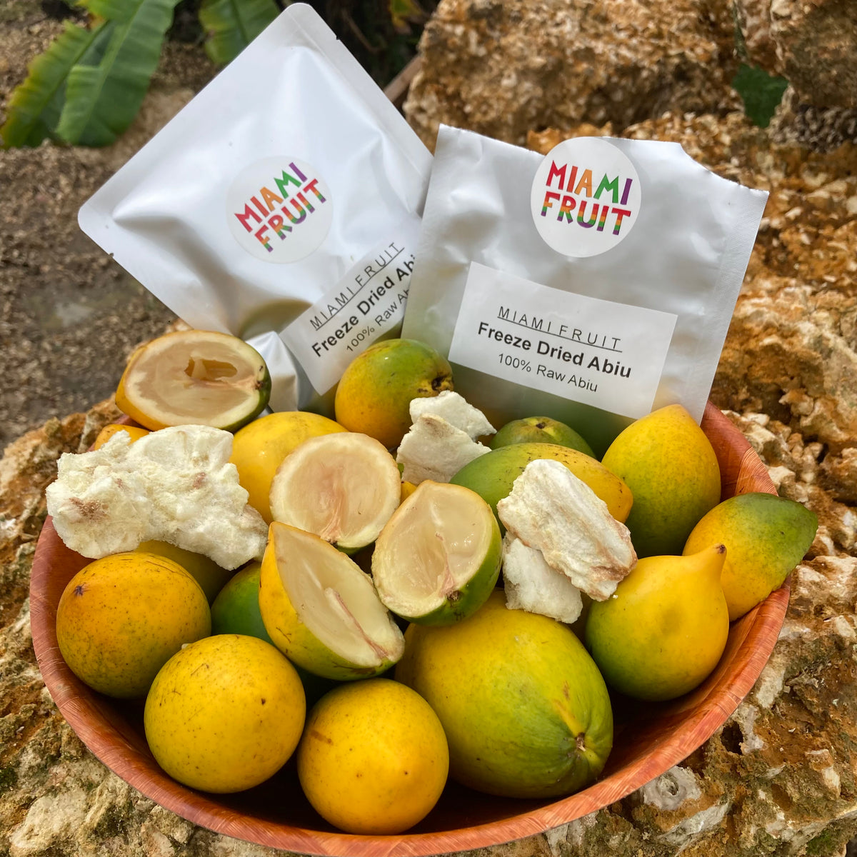 NEW! Freeze Dried Abiu 🌼 – Miami Fruit