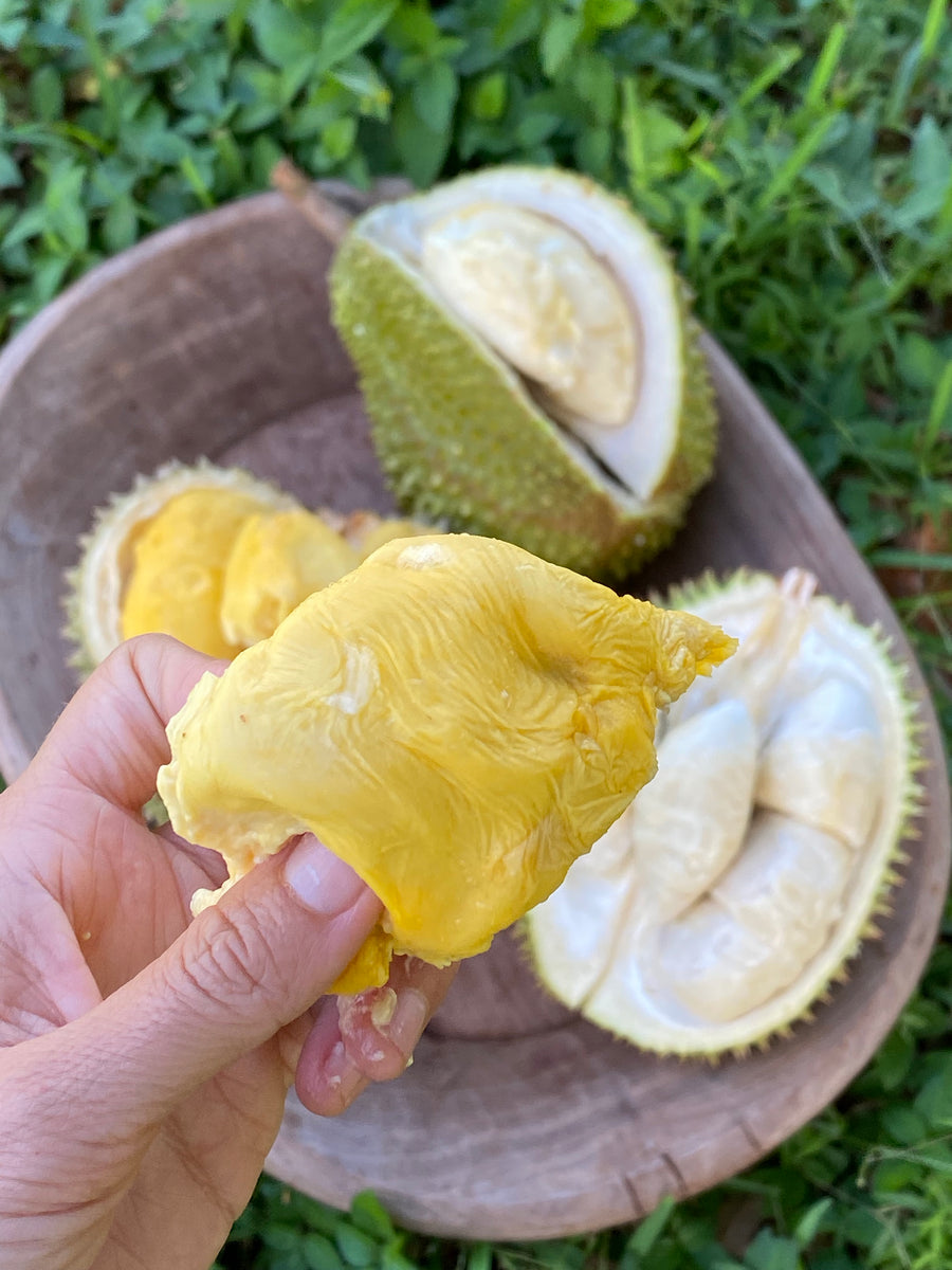 Get 55% Off All Frozen Fruit! ️ – Miami Fruit