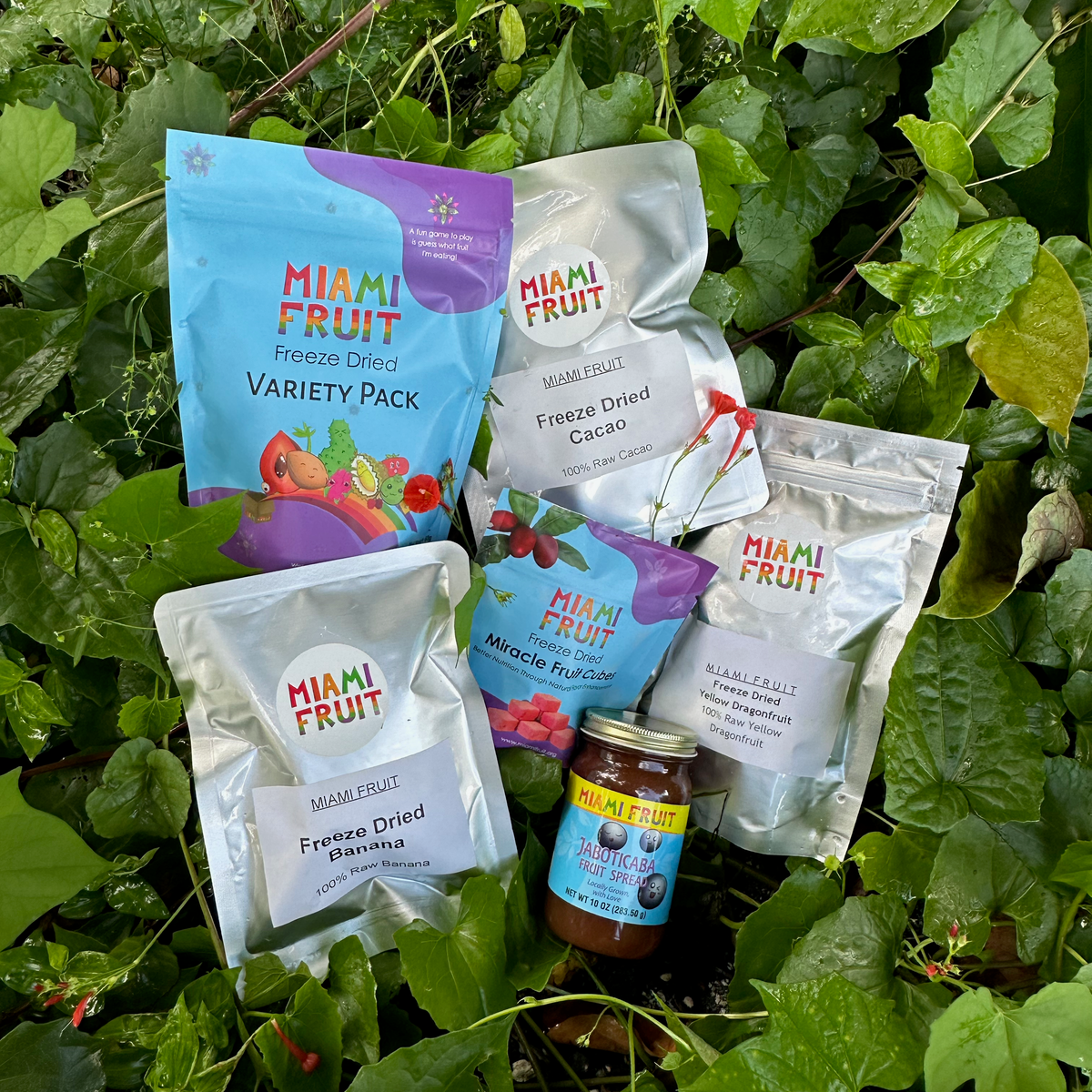 Scrumptious Fruit Candy Boxes are Available Now! 🍬 – Miami Fruit
