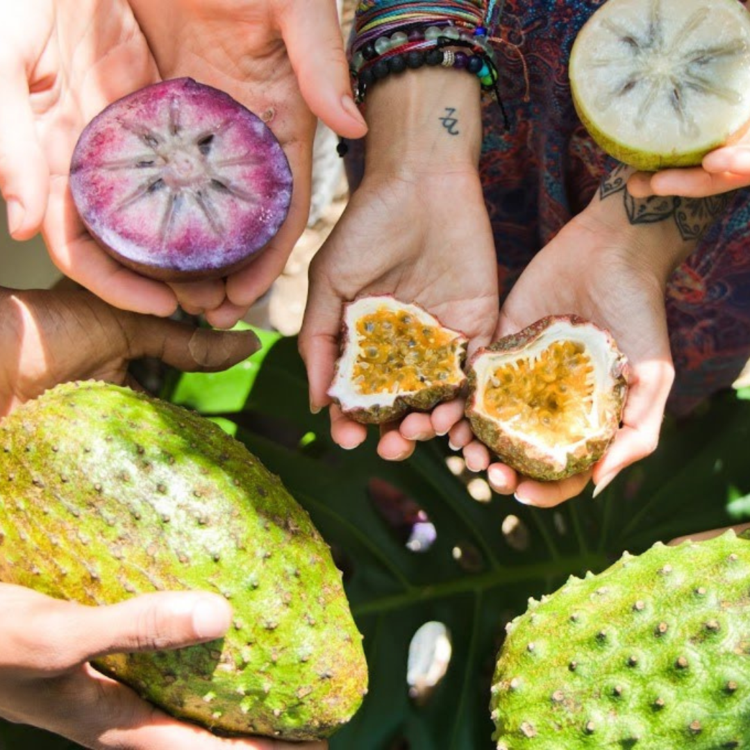 End of May Harvest Update 🌈 – Miami Fruit