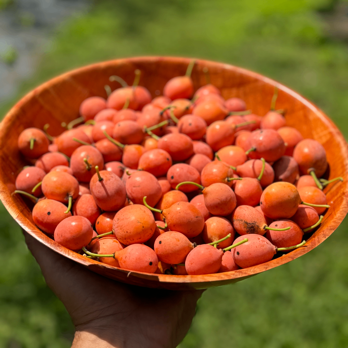 Imbe is available for a limited time! 🧡 – Miami Fruit