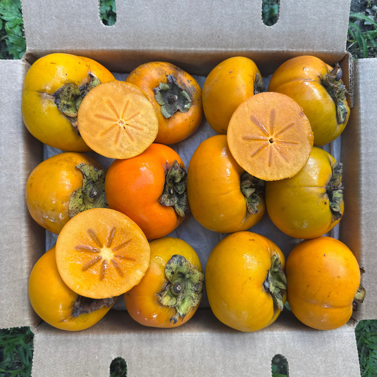 Fuyu Persimmons are NEW! 🍅 – Miami Fruit