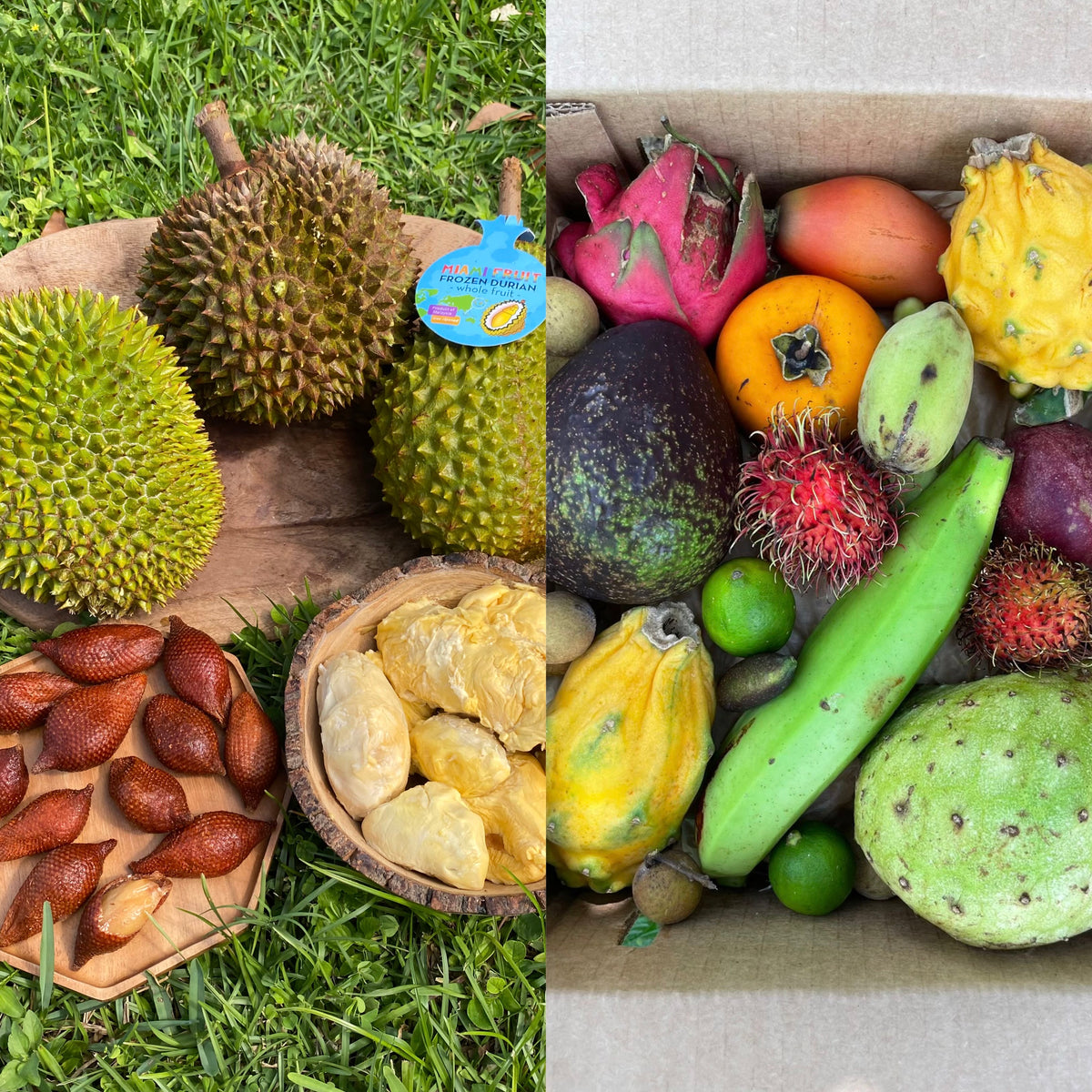 Happy World Mental Health Day 💜 SALE – Miami Fruit