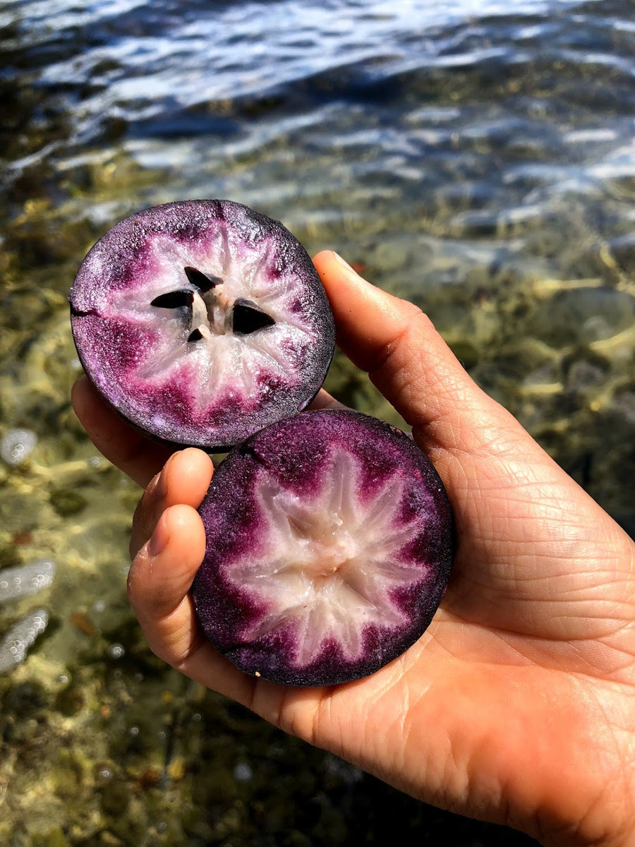 🌟Star Apple is BACK 🌟 – Miami Fruit