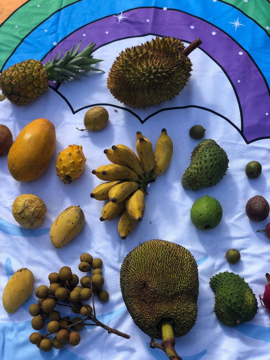 🍌Stock up on Sweetness for the Summer! ☀️ + Harvest Update 🌈 – Miami Fruit