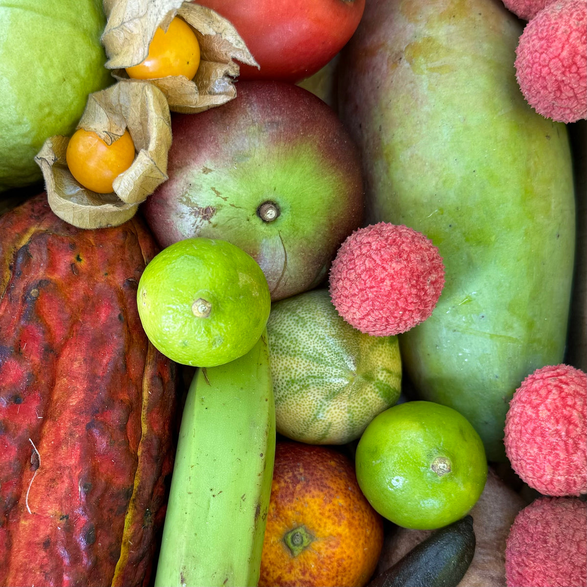 Beginning of June Harvest Update 🌈 – Miami Fruit