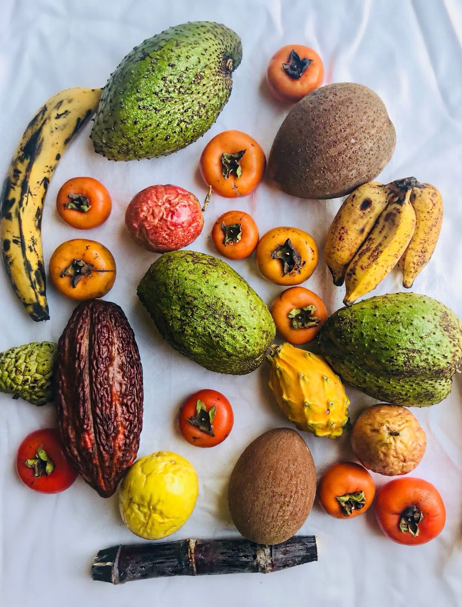 End of October Harvest Update 🌈 – Miami Fruit