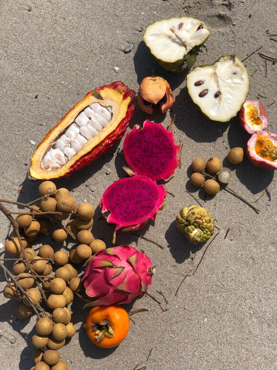 30% off select fruits for Florida Residents 😍 – Miami Fruit