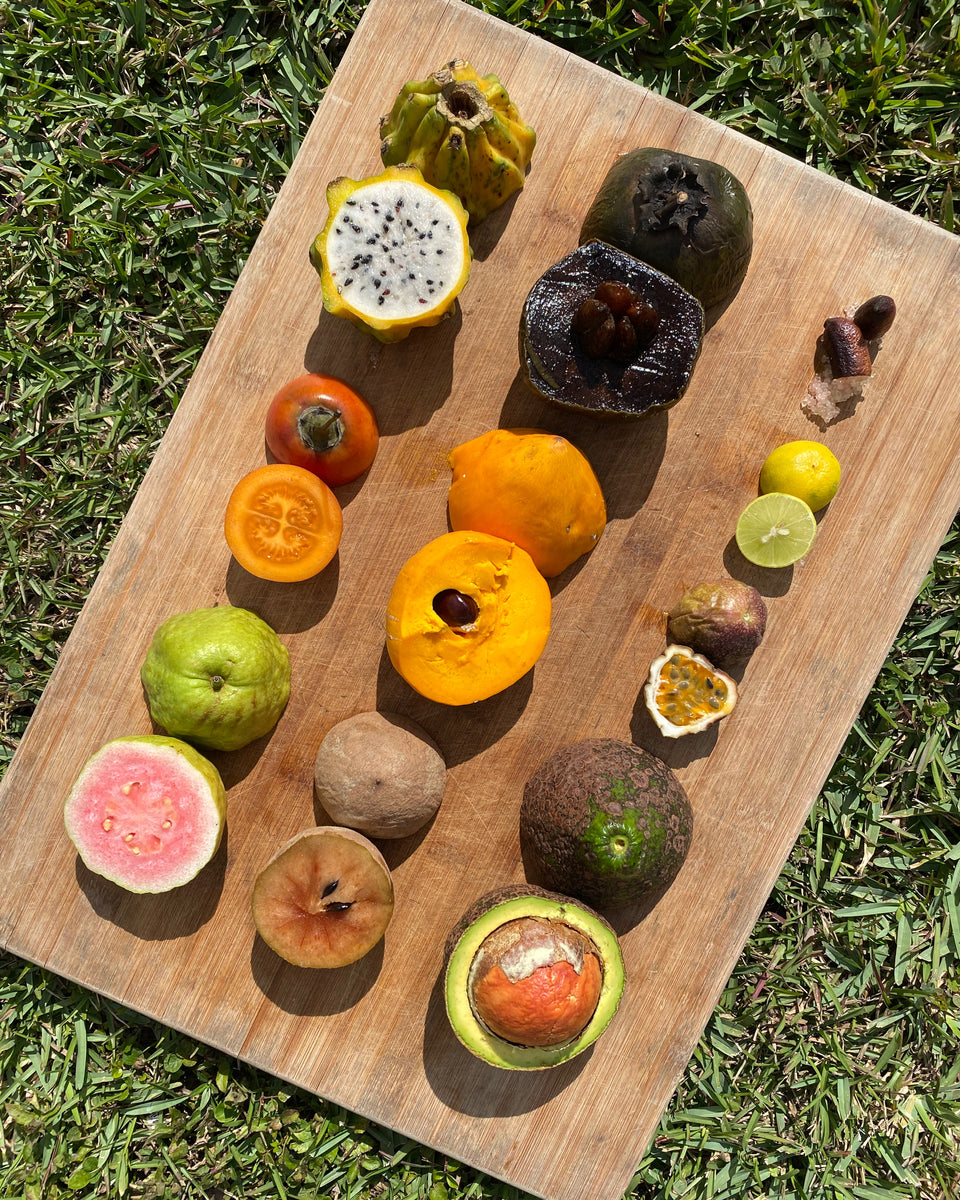 Beginning of February Harvest Update 🌈 – Miami Fruit