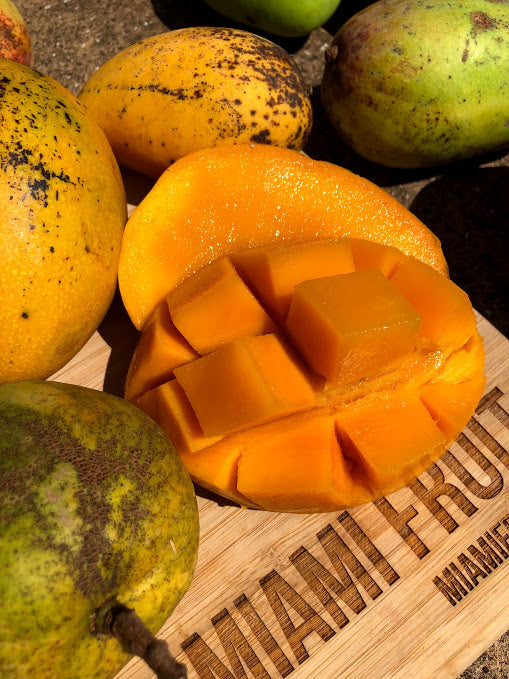 It's Mango Time! 🌳 Early June Harvest Update 🌸 What's in Season 🌈 ...