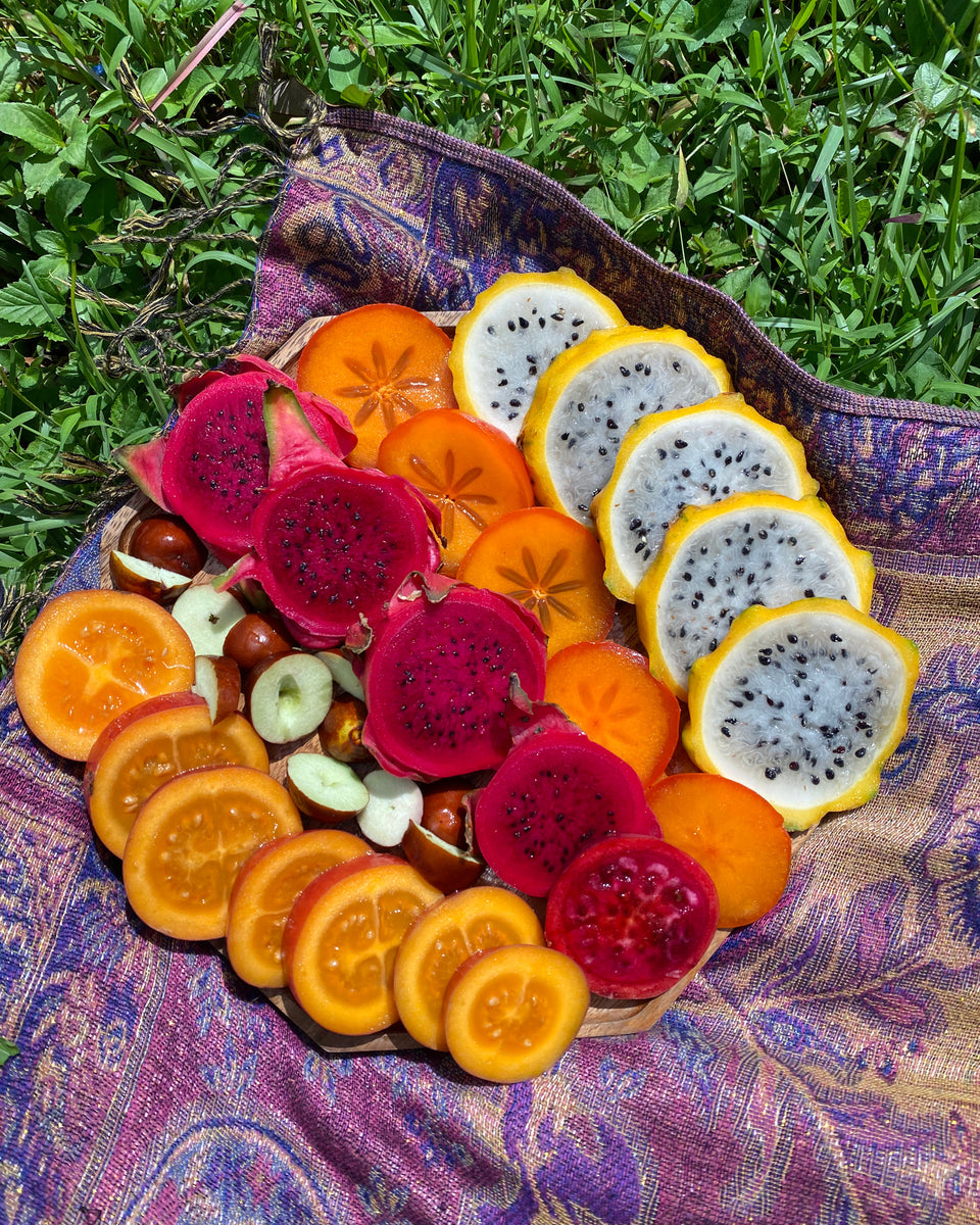 Late September Harvest Update 🌈 – Miami Fruit