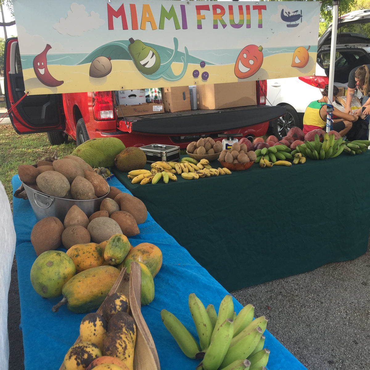 🌸Passionate about Passionfruit – Miami Fruit