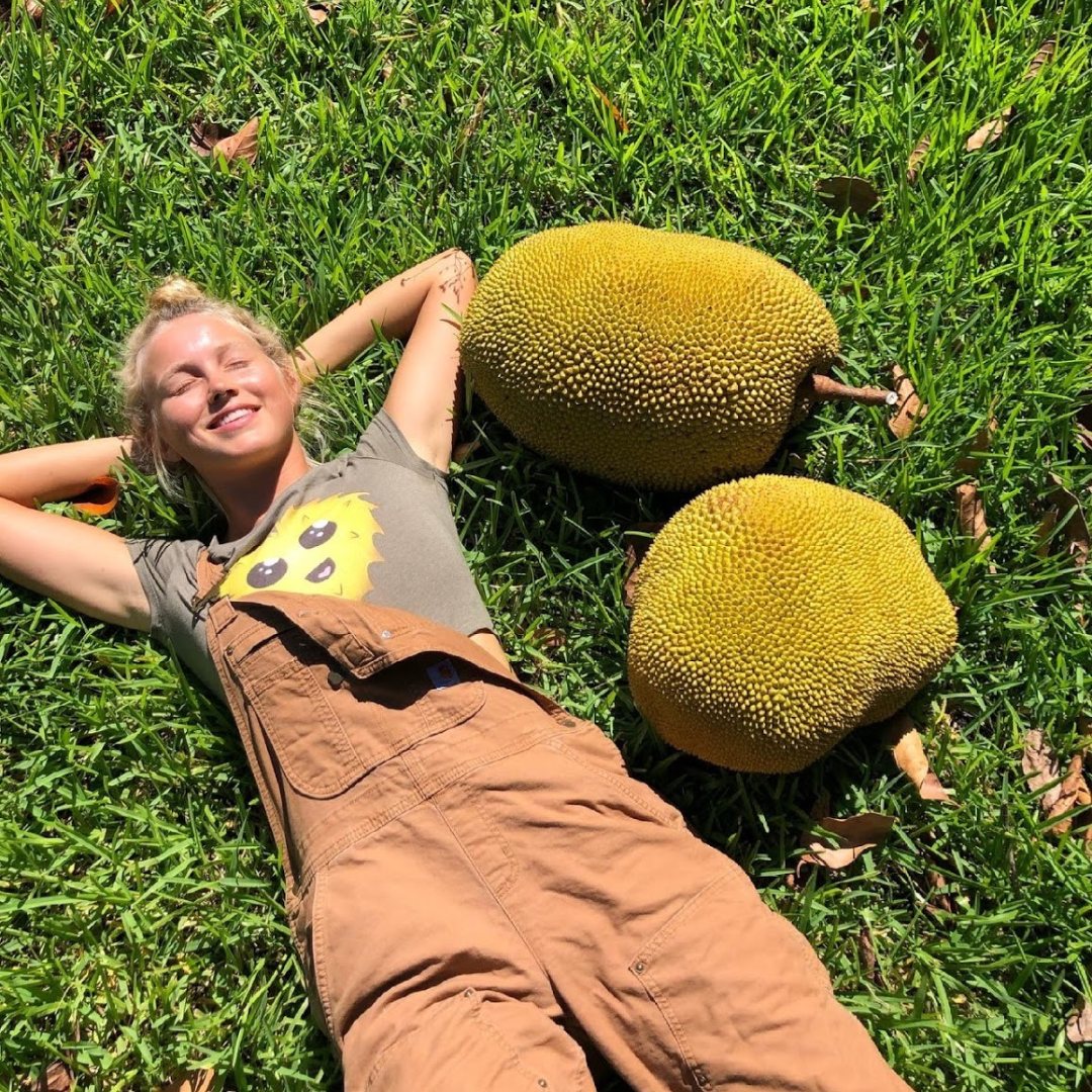 Jackfruit season is peaking! 💚 – Miami Fruit