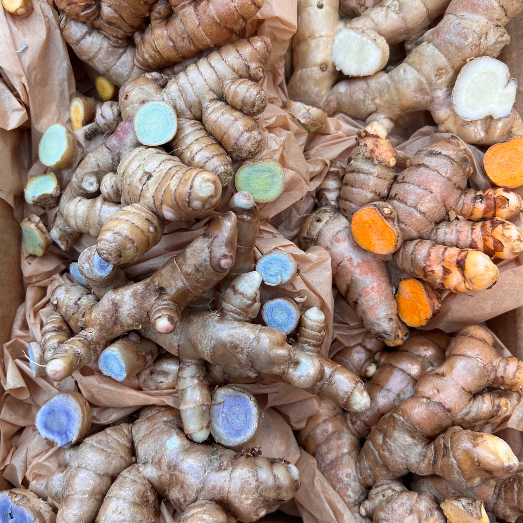 Rainbow Turmeric is back! 🌈 – Miami Fruit