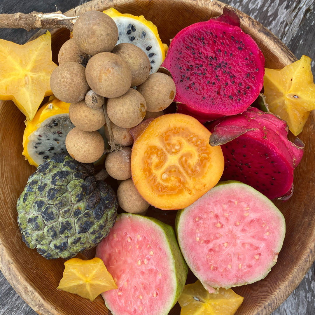 Late August Harvest Update 🌈 – Miami Fruit