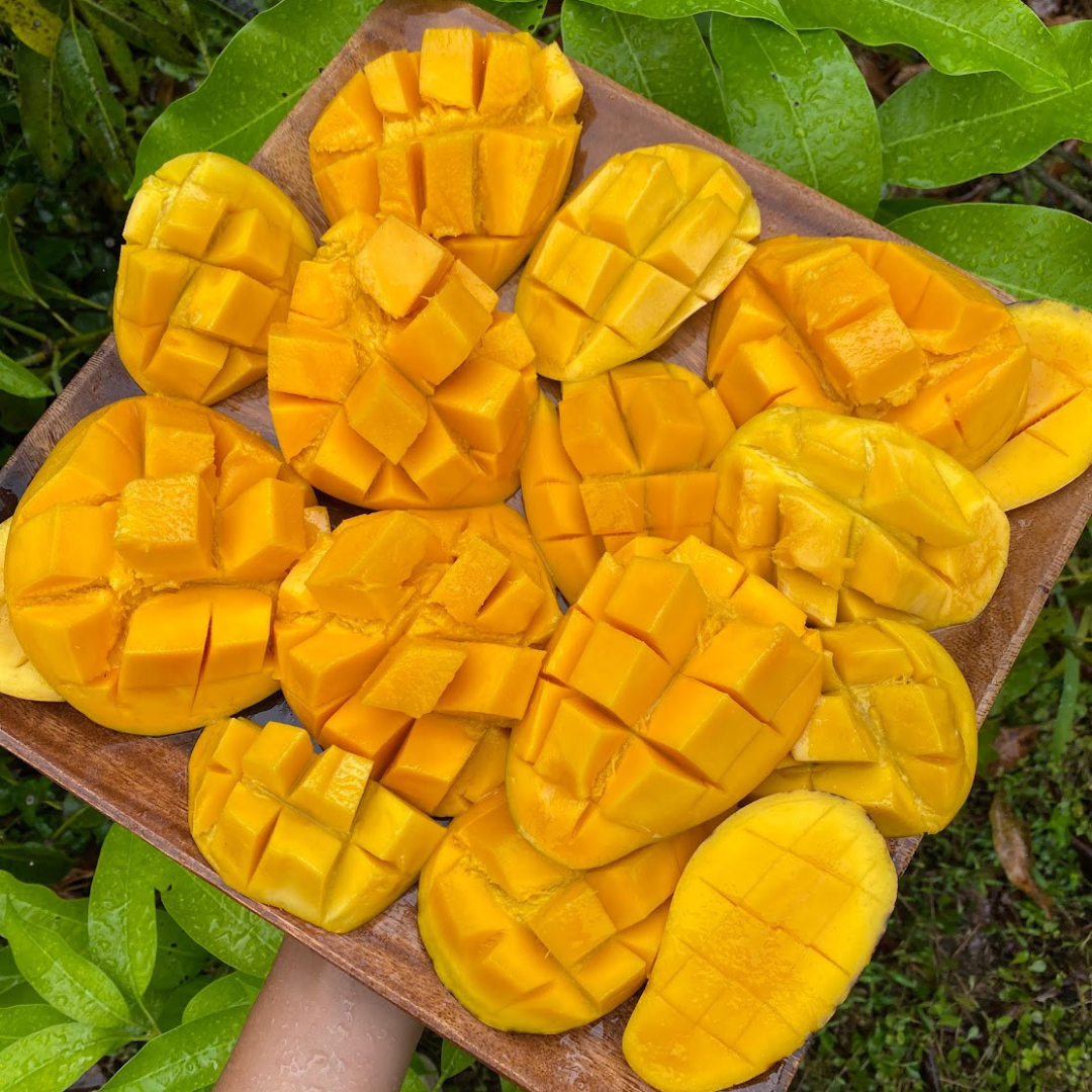 20% off Mango Mix Box 🥭 SALE – Miami Fruit