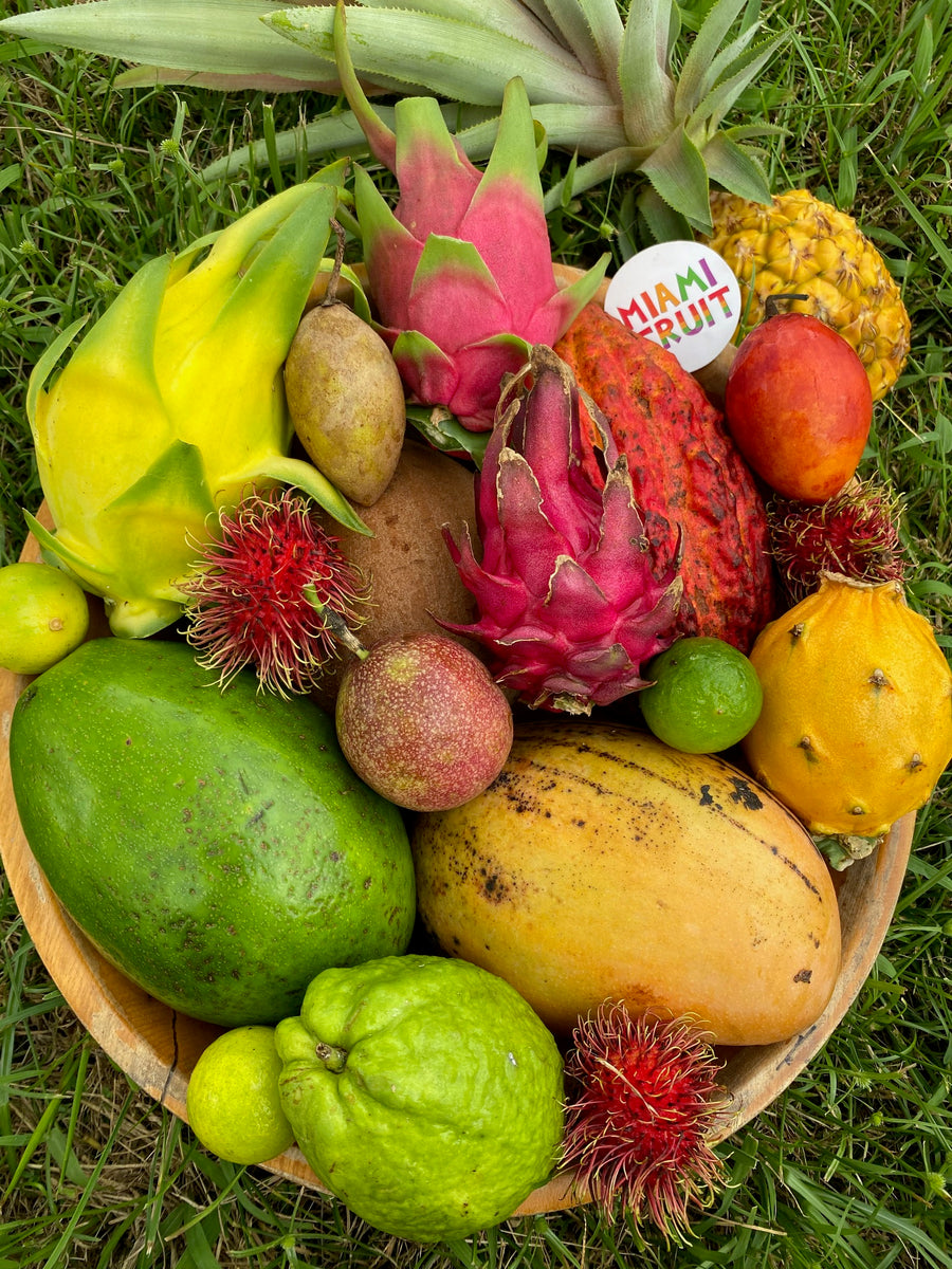 Mid July Harvest Update 🌞 – Miami Fruit