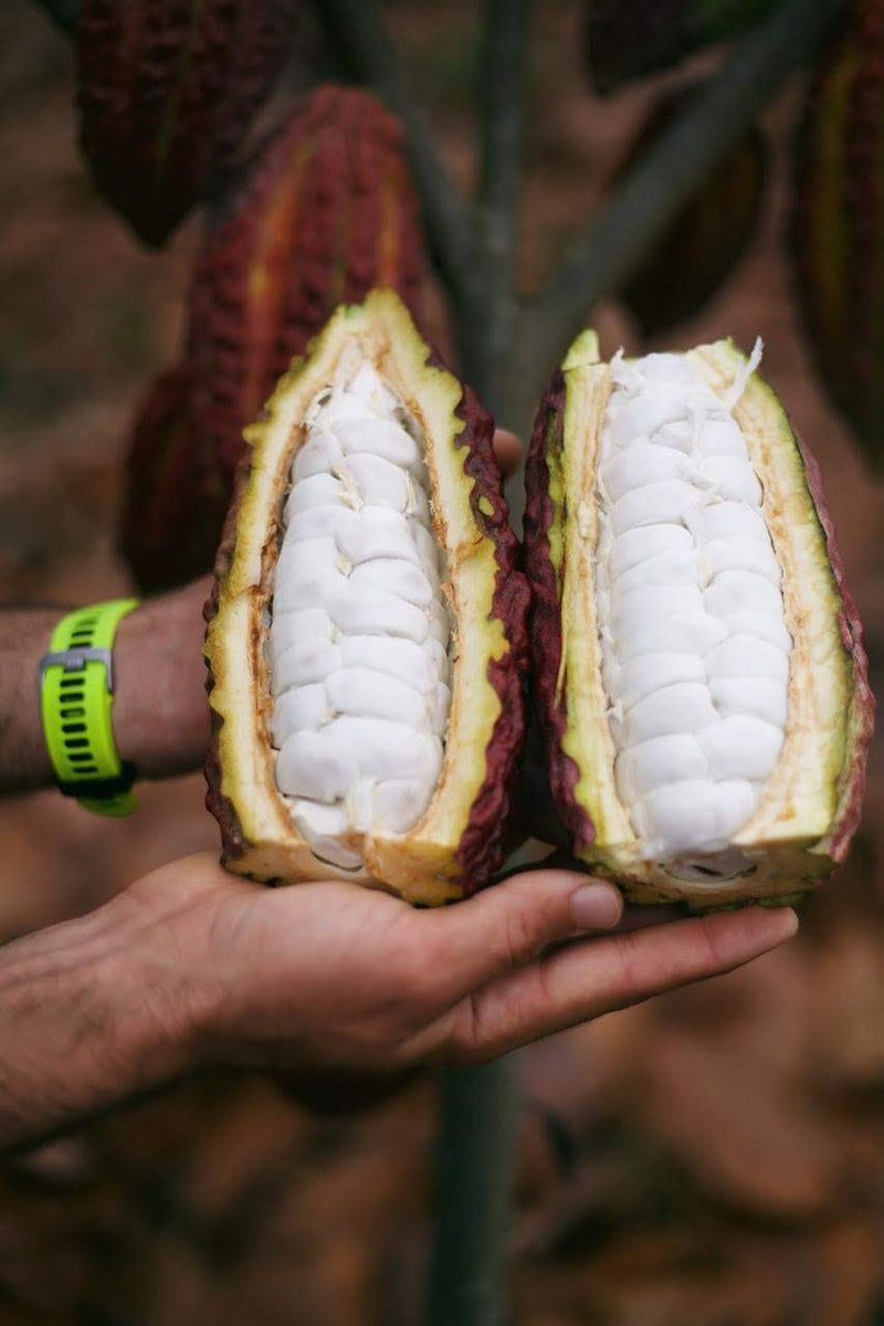 Gift Cacao the heart opener 🫀 this Valentine's Day 😍 – Miami Fruit