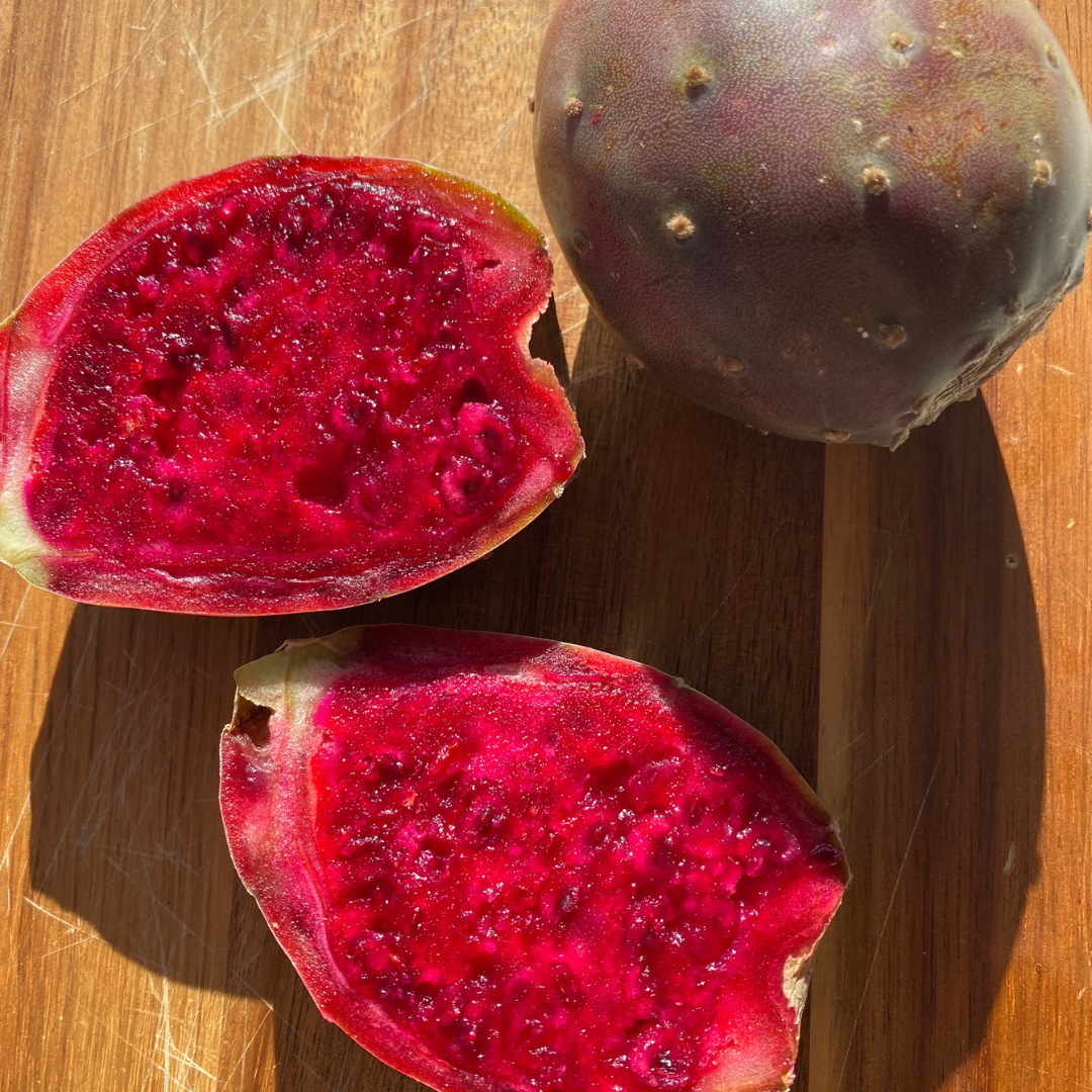 Prickly Pear Cactus Fruit is Back 🌵 – Miami Fruit