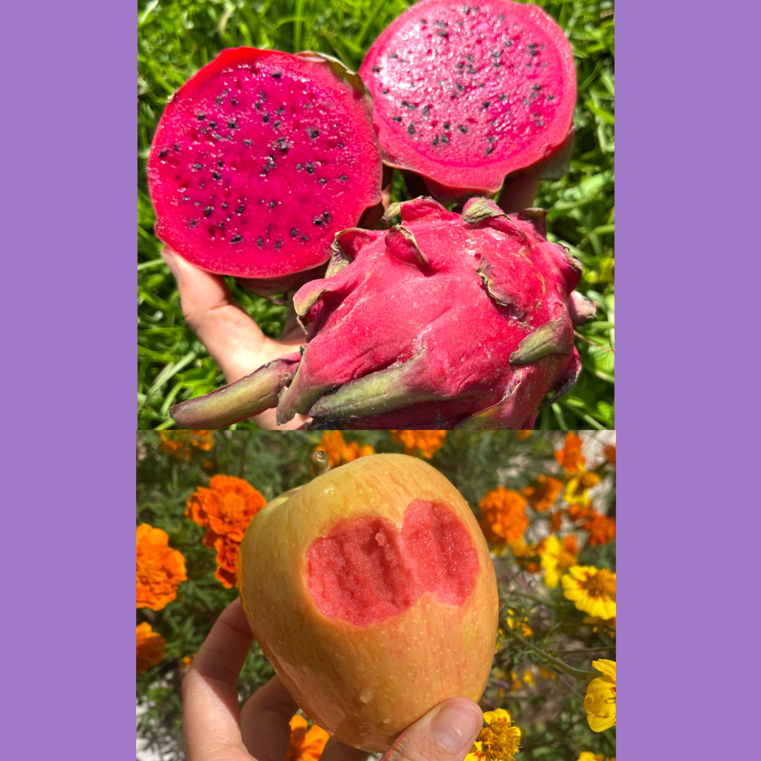 FREE Red Dragonfruit & Hidden Rose Apples make the perfect Valentine's ...