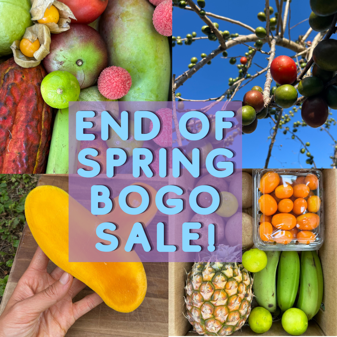 End of Spring BOGO 🥳 SALE – Miami Fruit