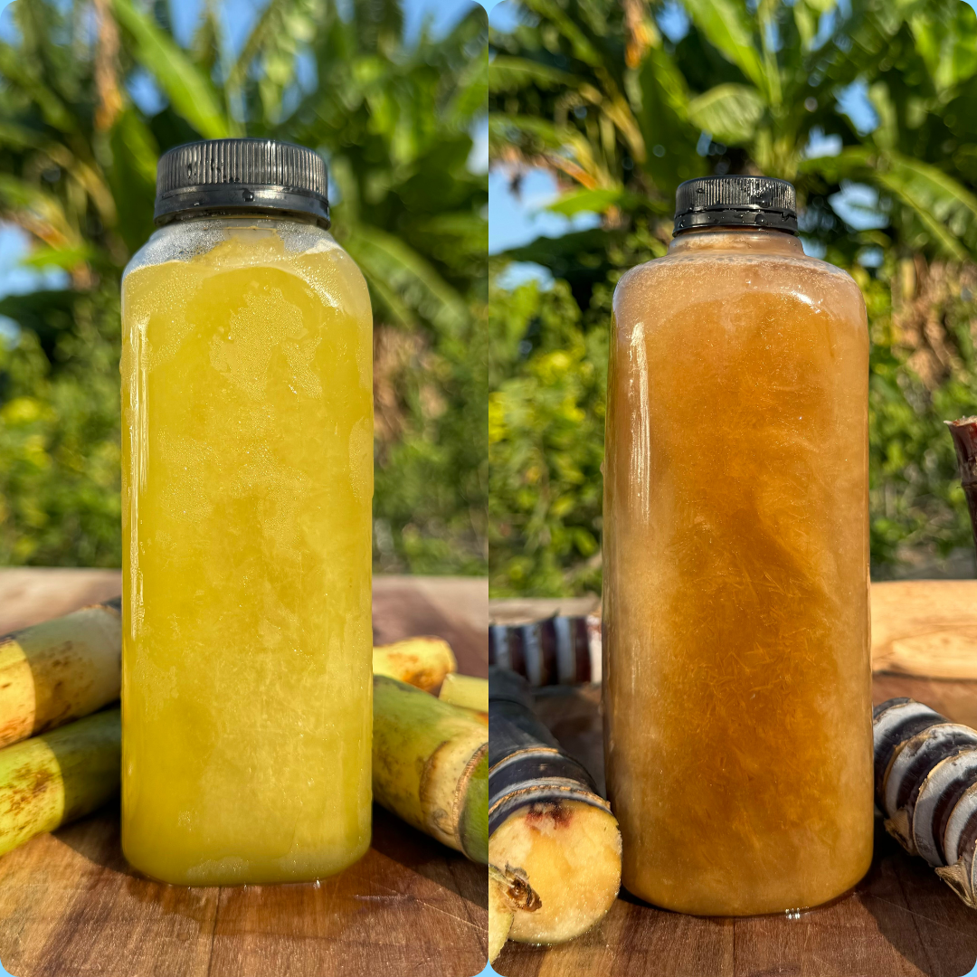 The Ultimate Natural Energy Boost – Sugarcane Juice! 🥳 – Miami Fruit