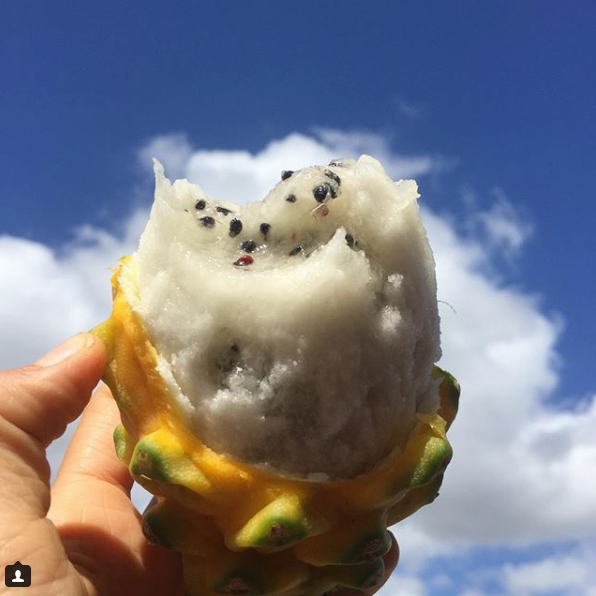 Harvest Update + Important Announcement 🍌🌈 – Miami Fruit
