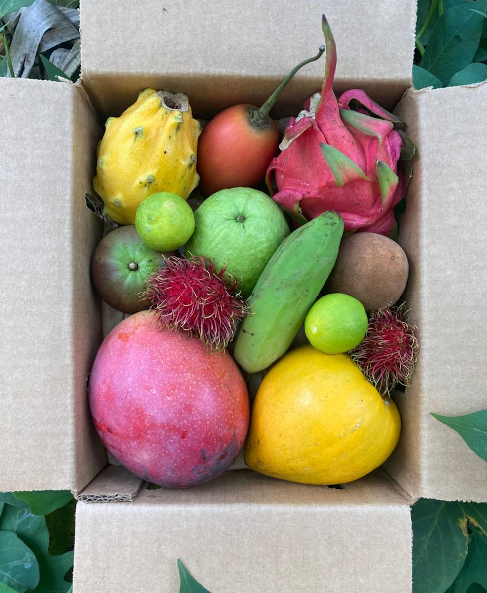Don't miss out on the scrumptious Summer selections in our Variety Box ...