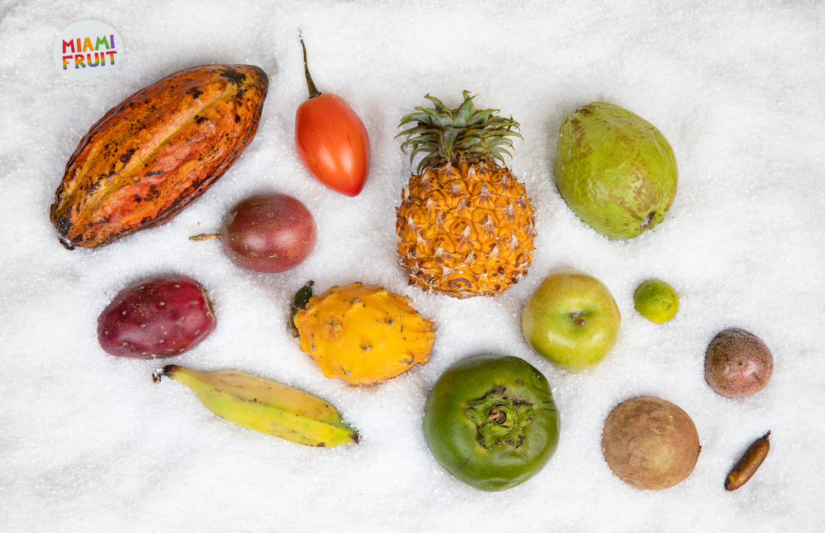 Important Info for Ordering Fruit in Winter ️ – Miami Fruit