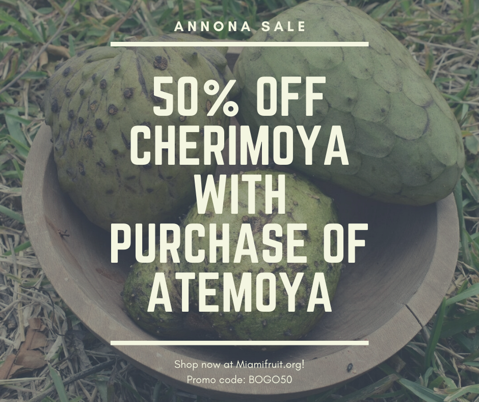Buy one atemoya get one cherimoya 50% off 💚 – Miami Fruit