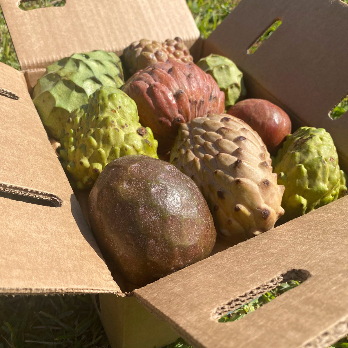 Fruits of the Week: Annonas! 😍 – Miami Fruit