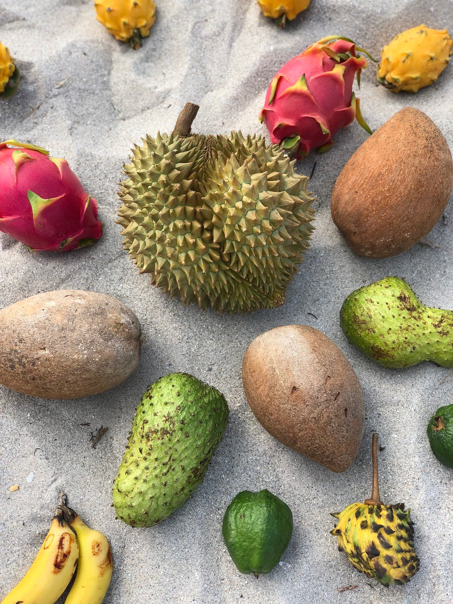 Beginning of May Harvest Update 🌈 – Miami Fruit