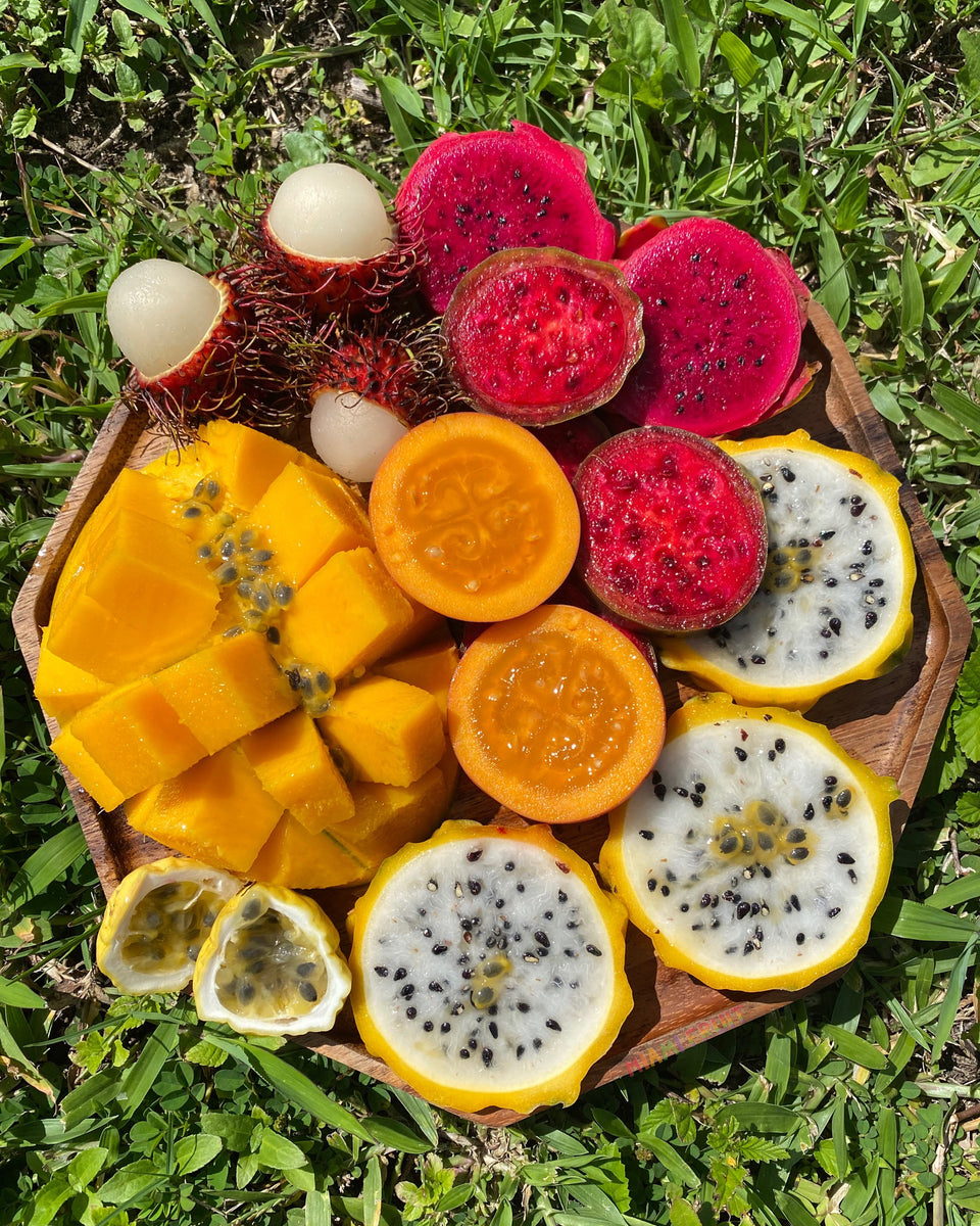 End of July Harvest Update 🌈 – Miami Fruit