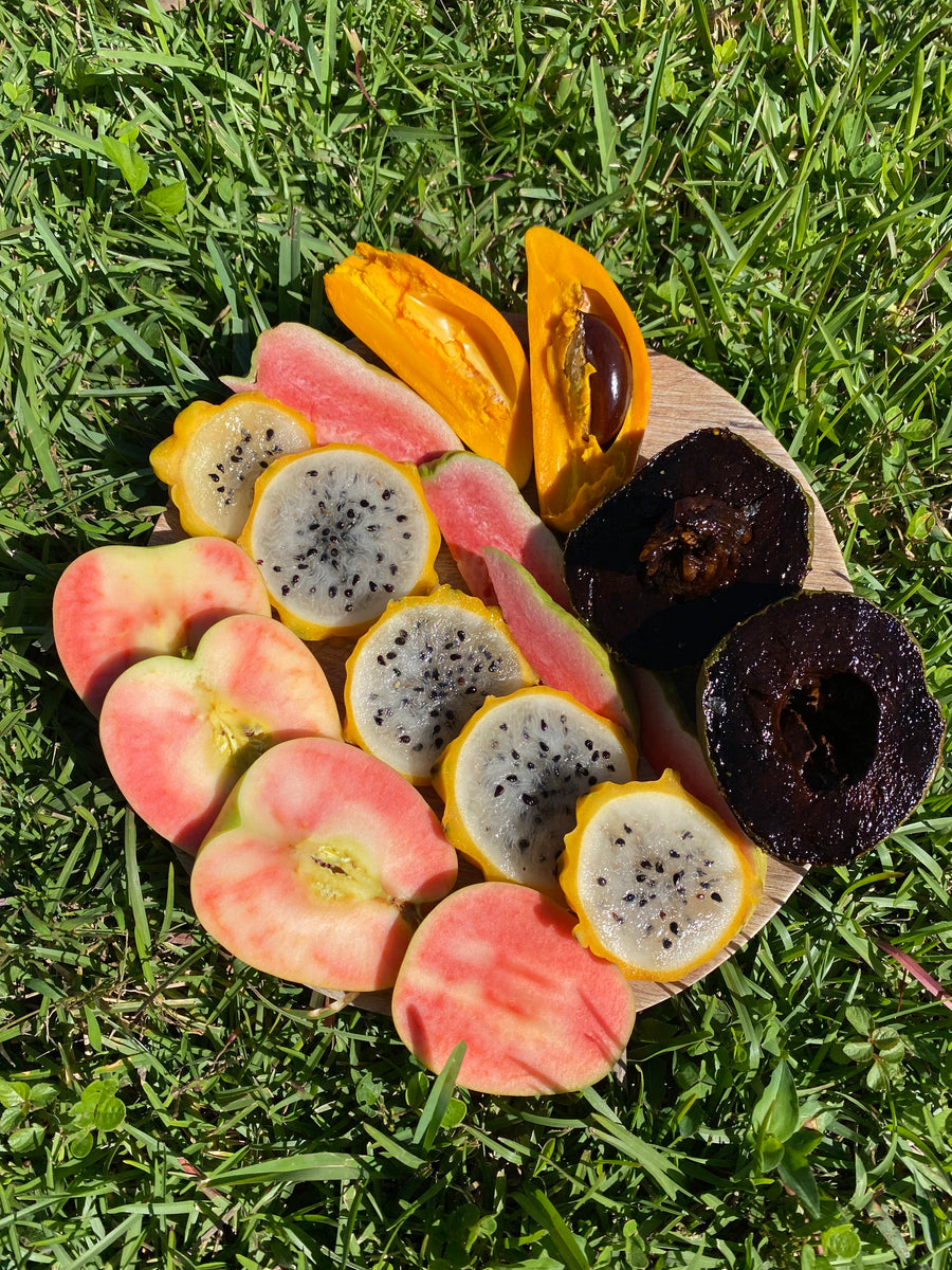 Beginning of December Harvest Update🌈 – Miami Fruit