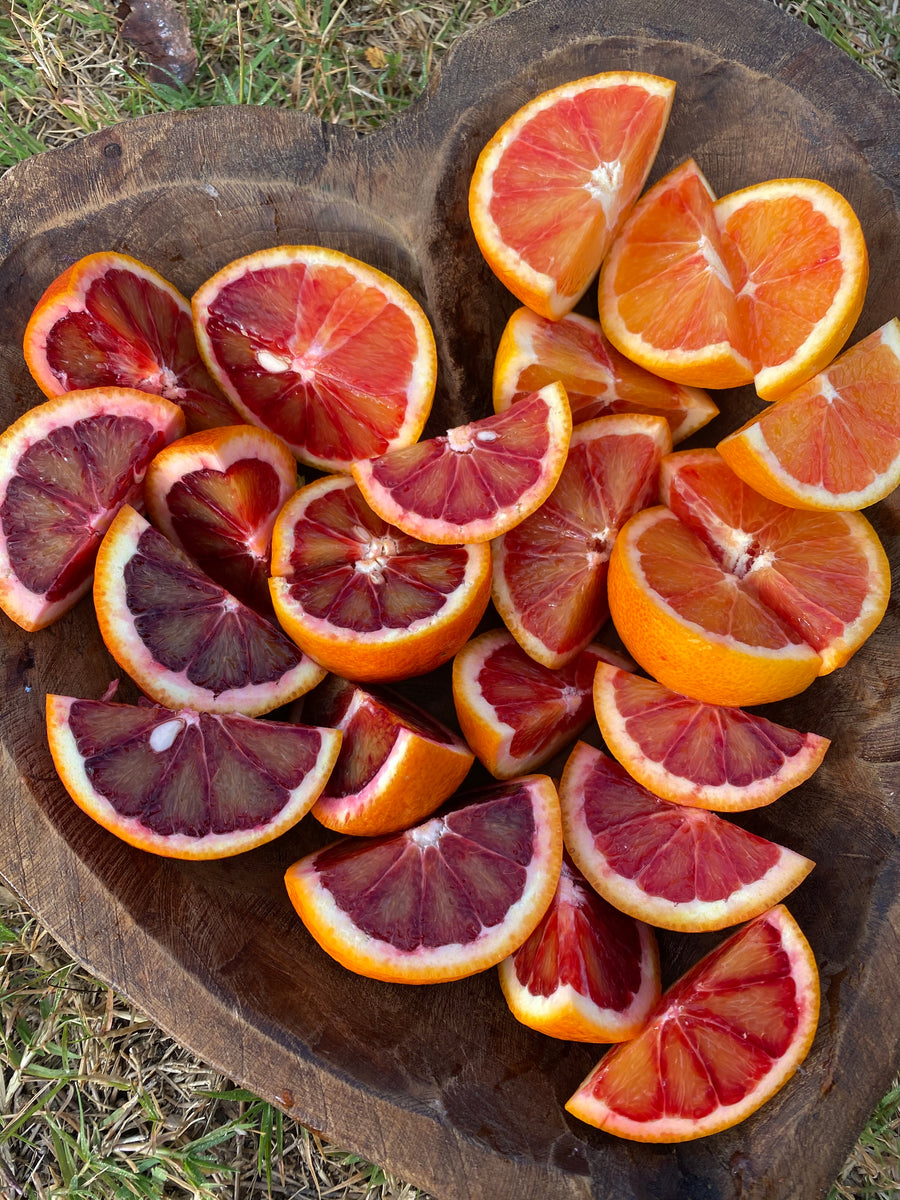 Blood Orange SALE 🍊 – Miami Fruit