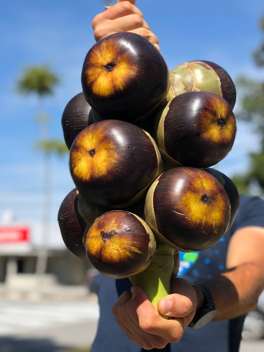 50% off Ice Apple ️ (Toddy Palm Fruit) SALE – Miami Fruit