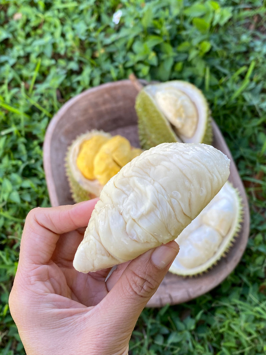 50% off D24 Sultan King Durian 👑 Black Friday SALE – Miami Fruit